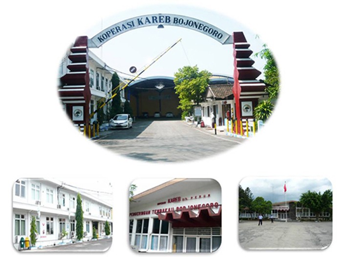 Koperasi Kareb | Semut Ireng